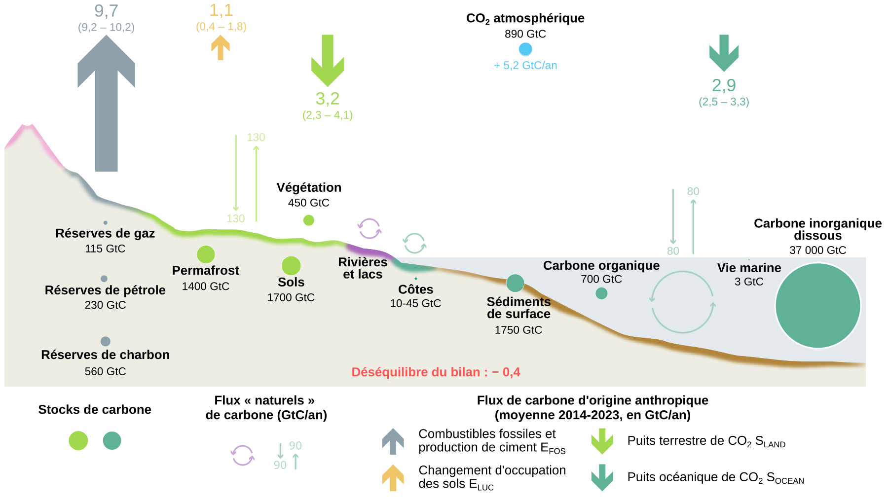 Cycle global du carbone | Planet-Vie